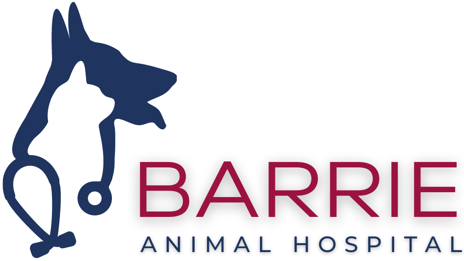 Bah Logo
